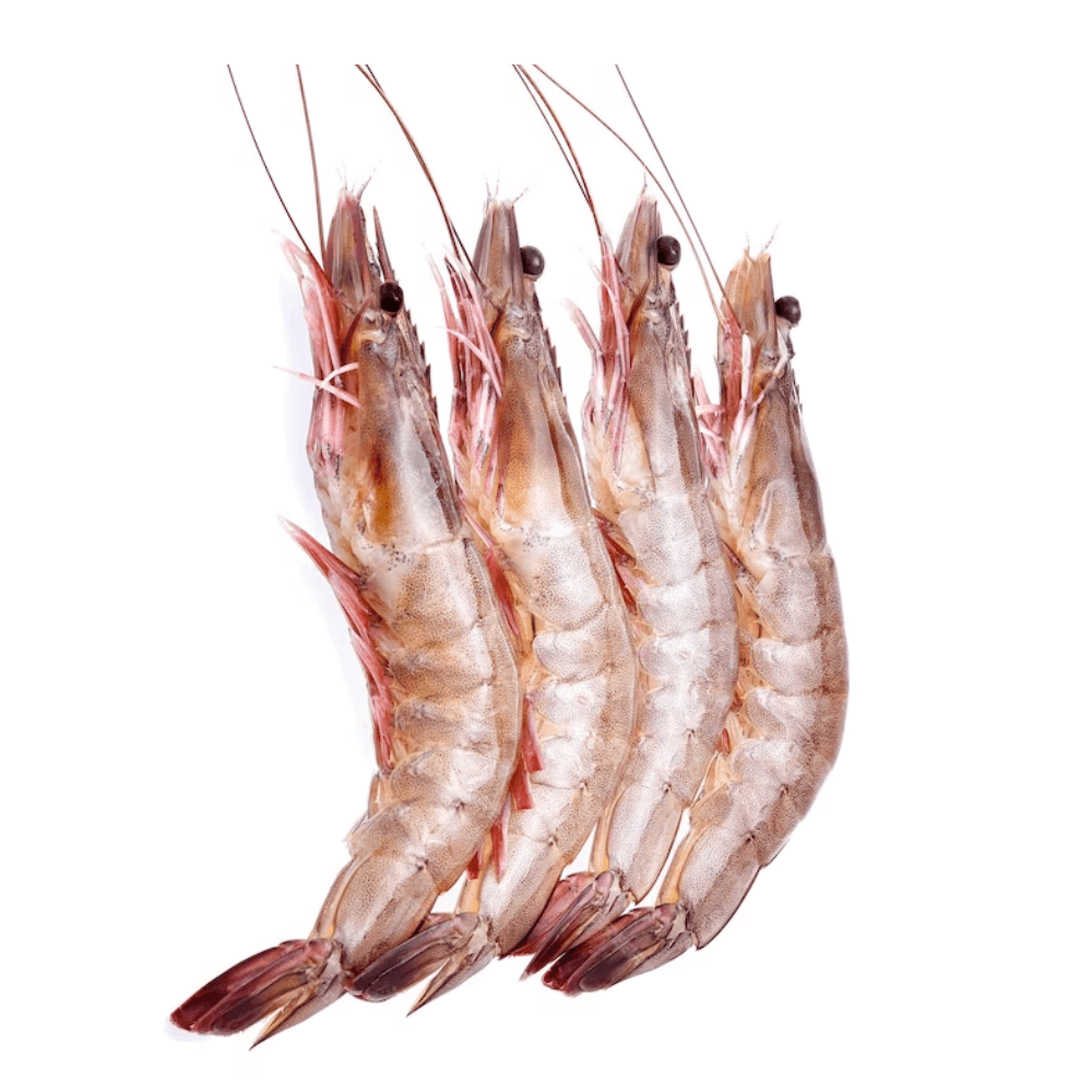 Fresh Jumbo Prawns - Online Seafood Delivery in Pakistan Fresh Jumbo Prawns - Online Seafood Delivery in Pakistan